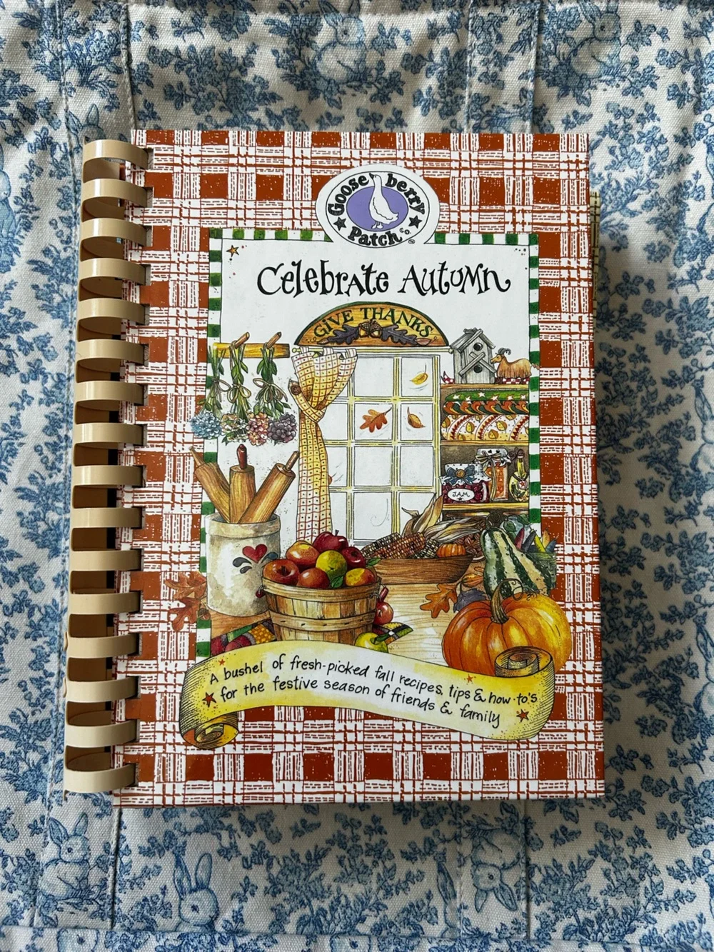 Gooseberry Patch | Kitchen | Vintage Early 200s Gooseberry Patch Fall ...